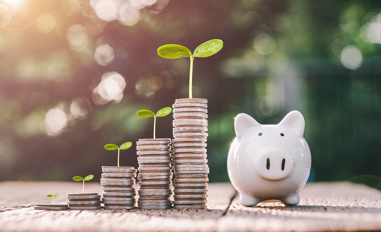 Jefferson Security Bank